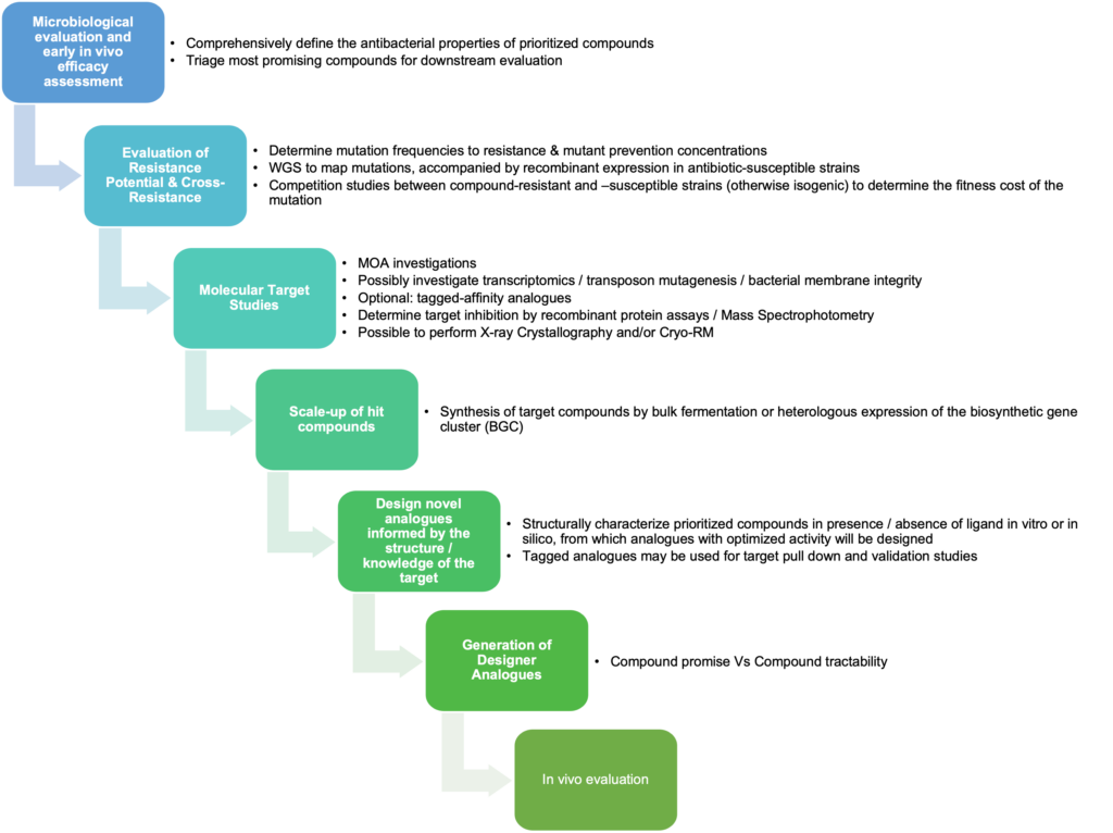 Antimicrobial NP discovery - Antibiotic Drug Discovery Hub